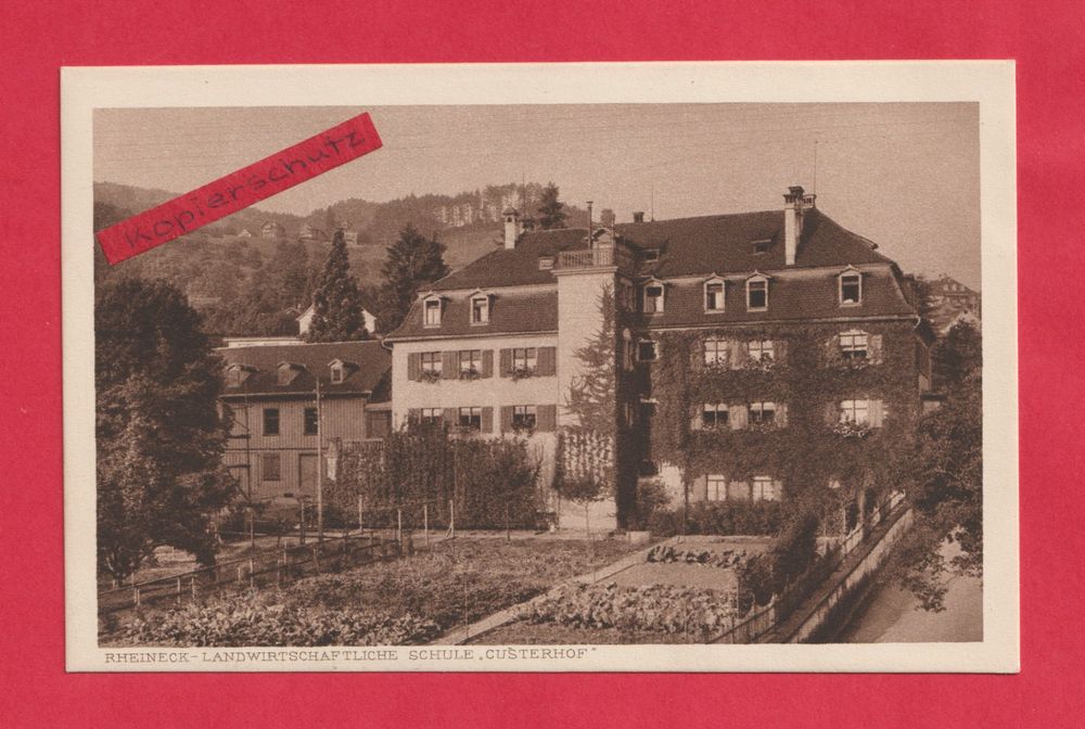 Rheineck-Landwirtschaftliche Schule Custerhof AK Kupferdruck (Gebraucht) in Zürich für CHF 18.5 ...