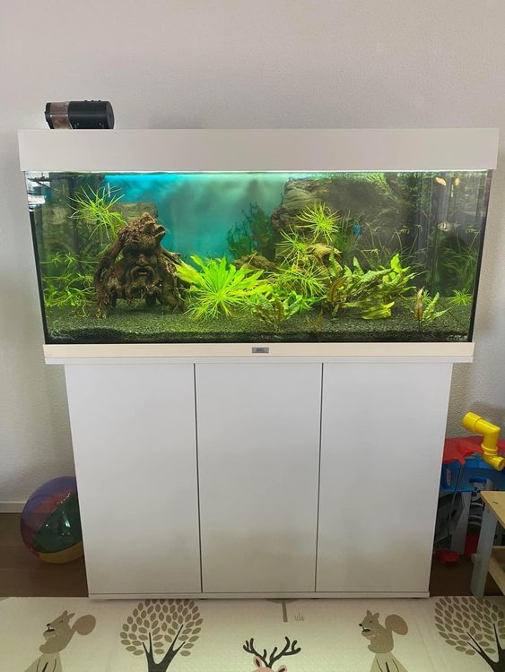 180 Liter Aquarium inkl. Zubehör | Kaufen auf Ricardo
