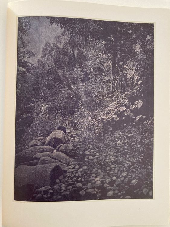 BUCH: Franz Gertsch. Holzschnitte (Gebraucht) in Rain für CHF 29 – mit Lieferung auf Ricardo kaufen