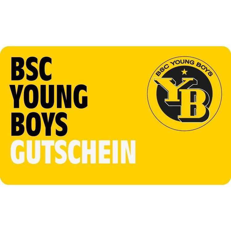 2 x YB Fussball Ticket Saison 2021 / 22 (Neu (gemäss Beschreibung)) in ...