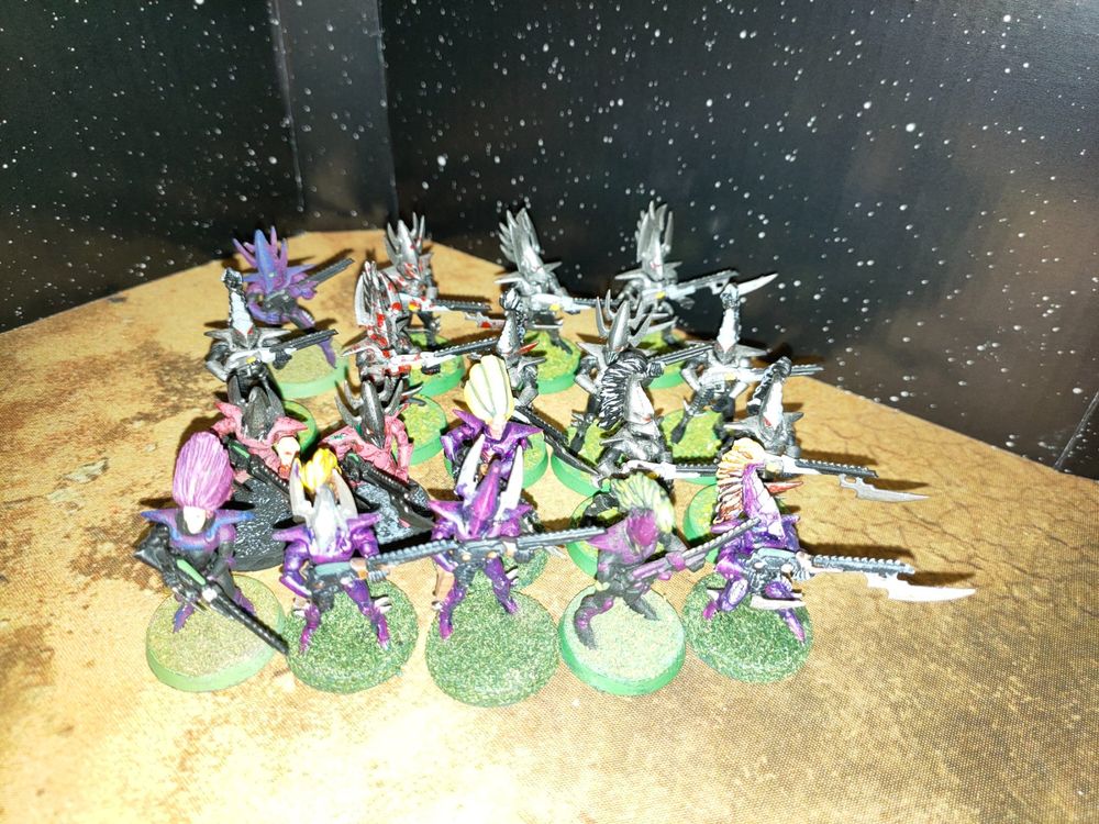 Warhammer 40k Drukhari, Dark Eldar, Krieger, Incubi, Wyches (Gebraucht ...