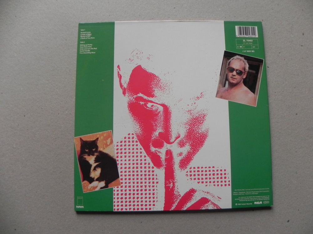 LP brit. Blues Rock Pop Sänger Roger Chapman 1984 The Shadow (Gebraucht) in Siebnen für CHF 15 ...