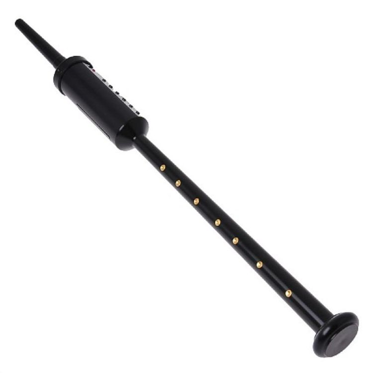 Deger Pipe II Electronic Bagpipe (Gebraucht) in Buenzen für CHF 126 ...
