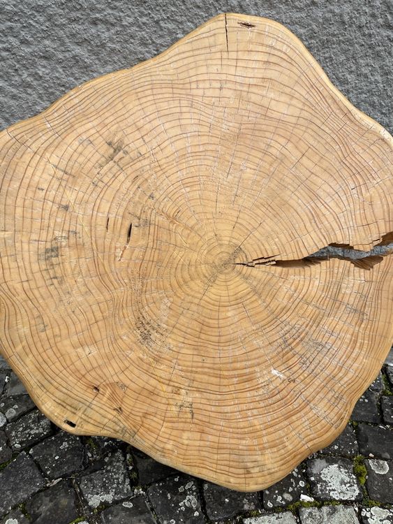 Baumscheibe Kaufen 100 Cm