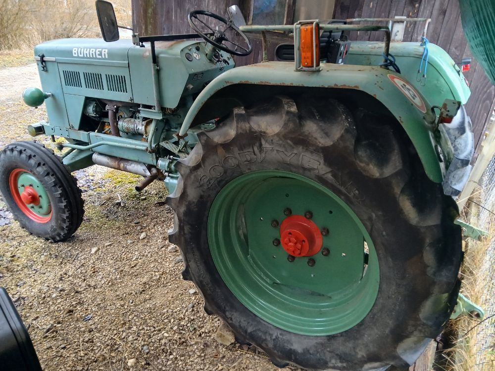 Bührer Traktor PF 18, Oldtimer Traktor, Jahrgang 1966 (Gebraucht) in ...