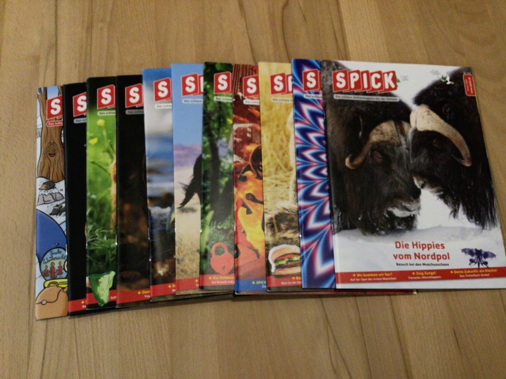 Spick Magazine 11 Stk, komplettes Jahr 2020 | Kaufen auf Ricardo