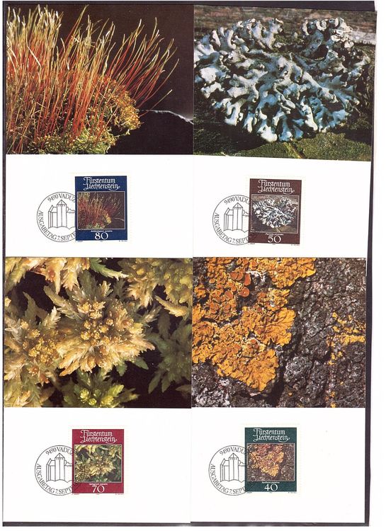 Maximum Karten Nr. 25 (Gebraucht) in Oberwil (Dägerlen) für CHF 1 – mit Lieferung auf Ricardo kaufen