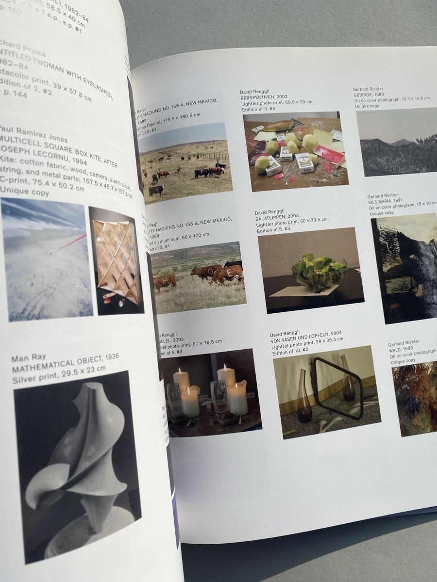 Through the Looking Brain, a Swiss Photography Collection (Gebraucht ...