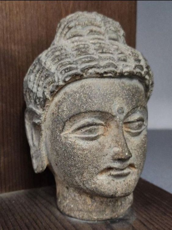 Alter Buddha Kopf Stein , Indien , Gandhara (Gebraucht) in Haslen AI für CHF 152 – mit Lieferung ...