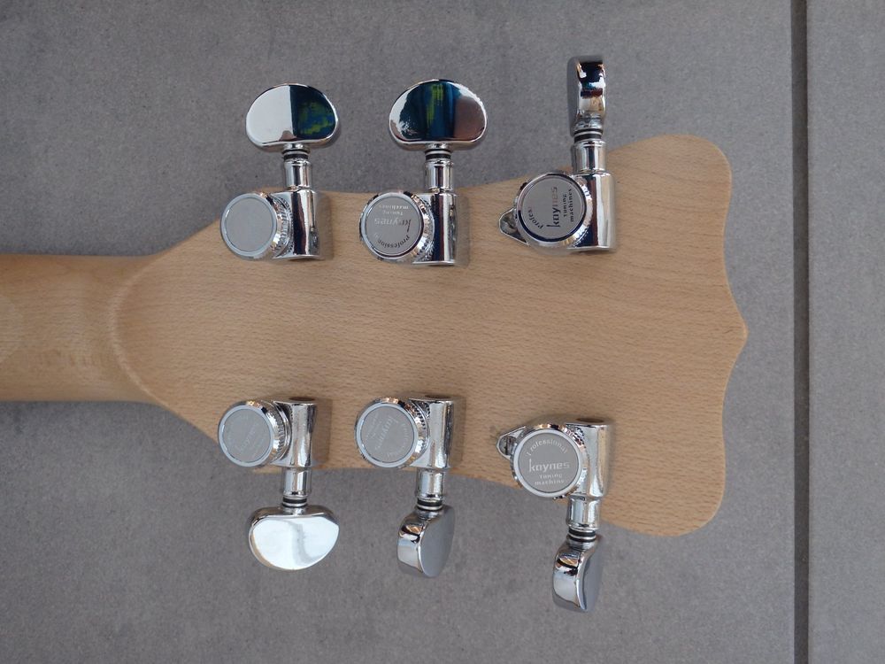 E-Gitarre LES PAUL mit Single Coil + Locking Tuner (Unikat) (Gebraucht ...