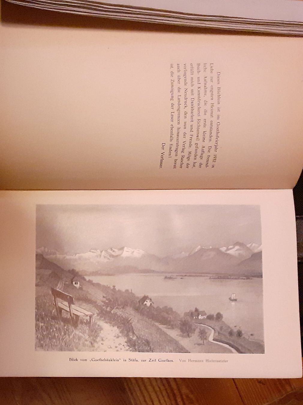 Goethe in der obern Zürichsee-Gegend v. Hermann Gattiker EA (Gebraucht ...