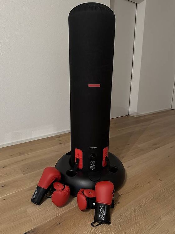 Boxsack für Kinder mit Handschuhen (Gebraucht) in Hildisrieden für CHF ...