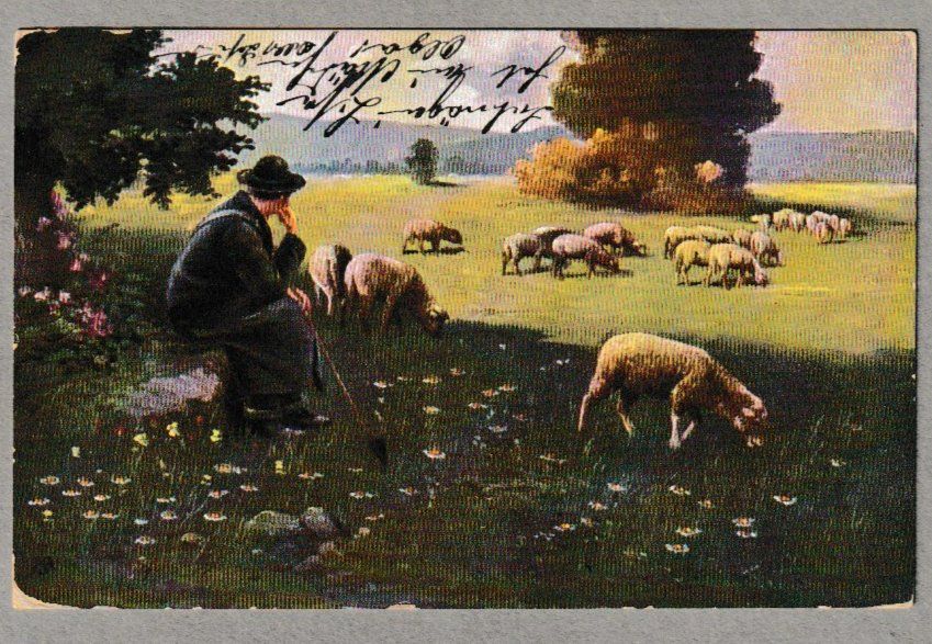 Kunstkarte: Schafhirt mit Herde 1908 Altstätten (D4 (Gebraucht) in ...
