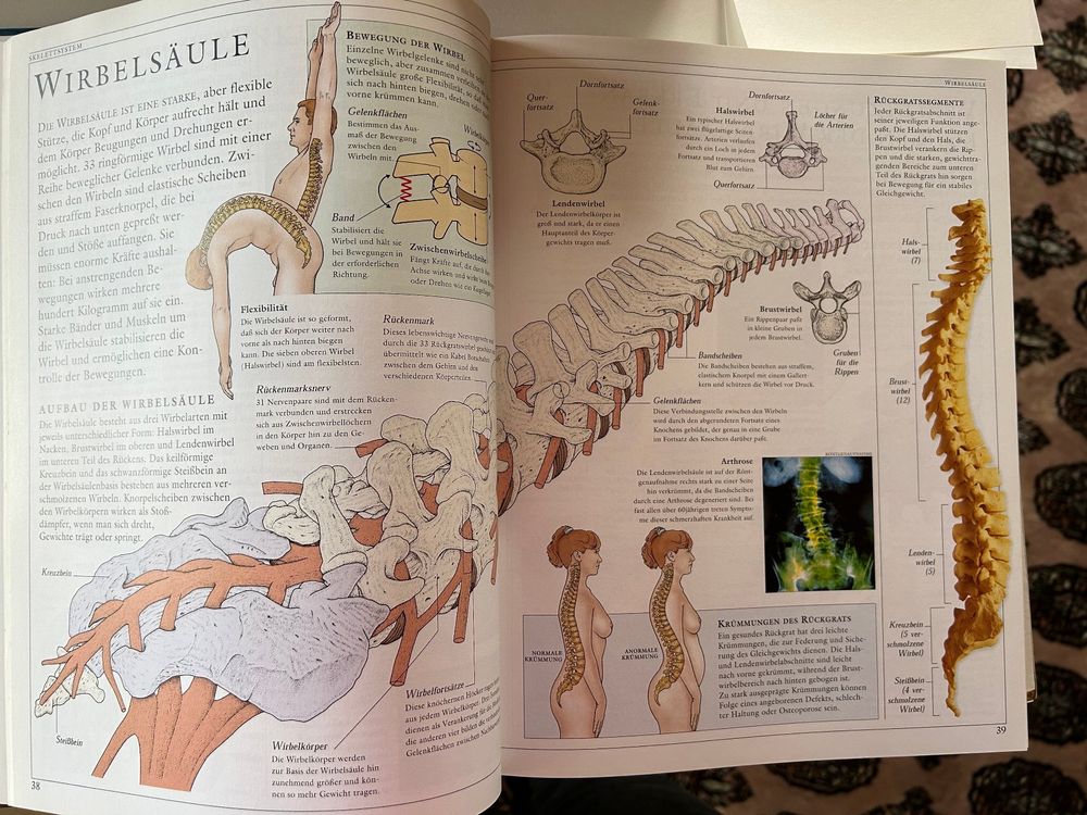 Der menschliche Körper - Ein Bildatlas (Neu (gemäss Beschreibung)) in Bubikon für CHF 29 – mit ...