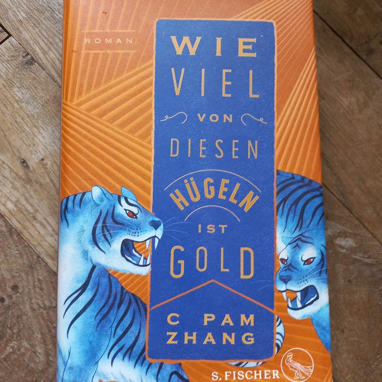 WIE VIEL VON DIESEN HÜGELN IST GOLD C Pam Zhang gebunde (Gebraucht) in ...