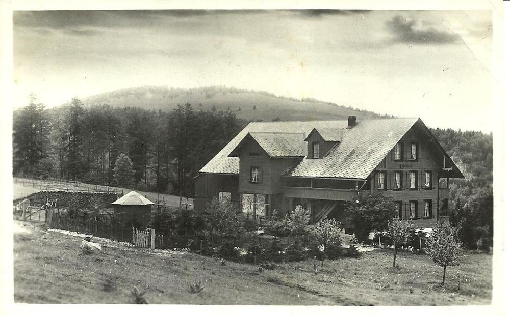 AK RAMISWIL WALDHEIM GULDENTHAL 1930 (Gebraucht) in Aarau für CHF 3 – mit Lieferung auf Ricardo ...