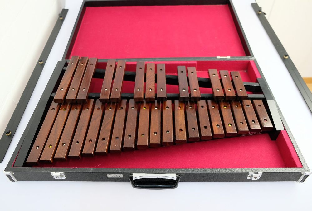 Xylophon Musik Spiri (Gebraucht) in Volketswil für CHF 180 – mit ...