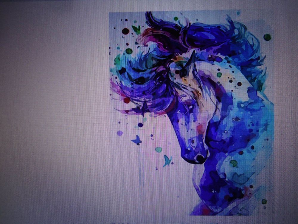 neu! Malen nach Zahlen, 40 x 50 cm, alles dabei + Rahmen (Neu (gemäss Beschreibung)) in Schüpfen ...