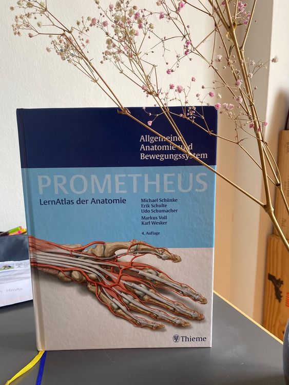 Prometheus, Lernatlas der Anatomie - 4.Auflage | Kaufen auf Ricardo