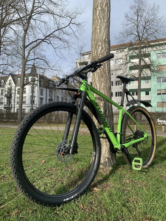 Specialized Hardtail Epic Mountainbike (Grün) | Kaufen auf Ricardo
