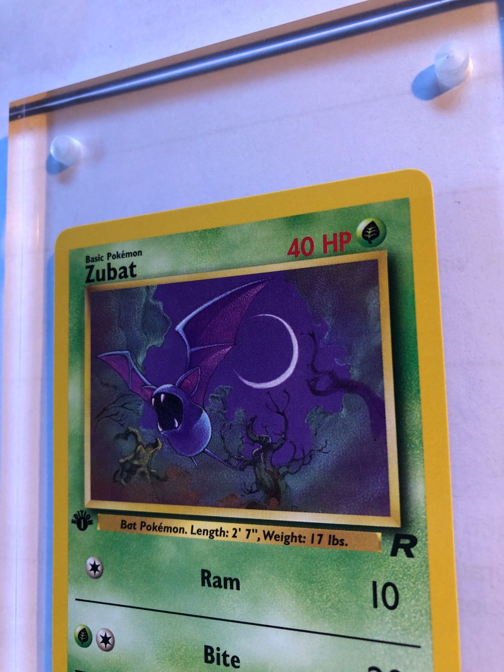 Zubat 1st Team Rocket - MINT - ab 1.- (Usato) a Giubiasco per CHF 1 ...