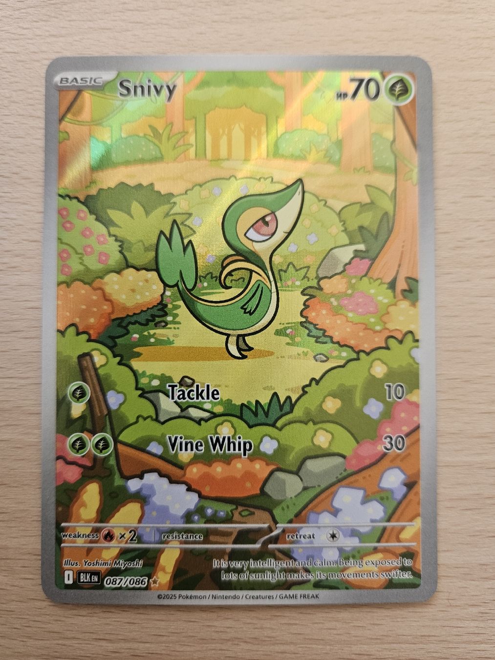Snivy 087/086 Pokémon Black Bolt EN Ab 1.- (Neu (gemäss Beschreibung ...
