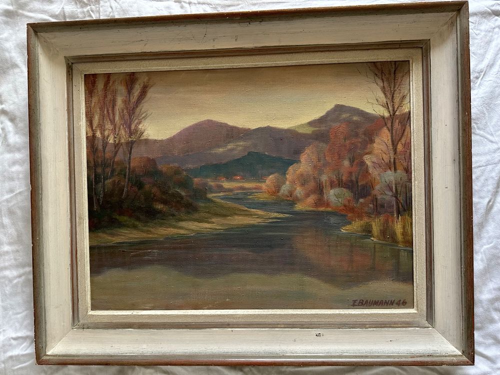 Tableau, peintre Baumann (Gebraucht) in Yverdon-les-Bains für CHF 19 ...