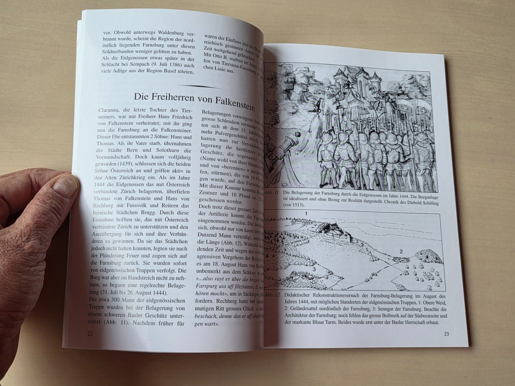 Die Farnsburg, eine Bau- und Lebensgeschichte, Markus Schaub (Gebraucht ...