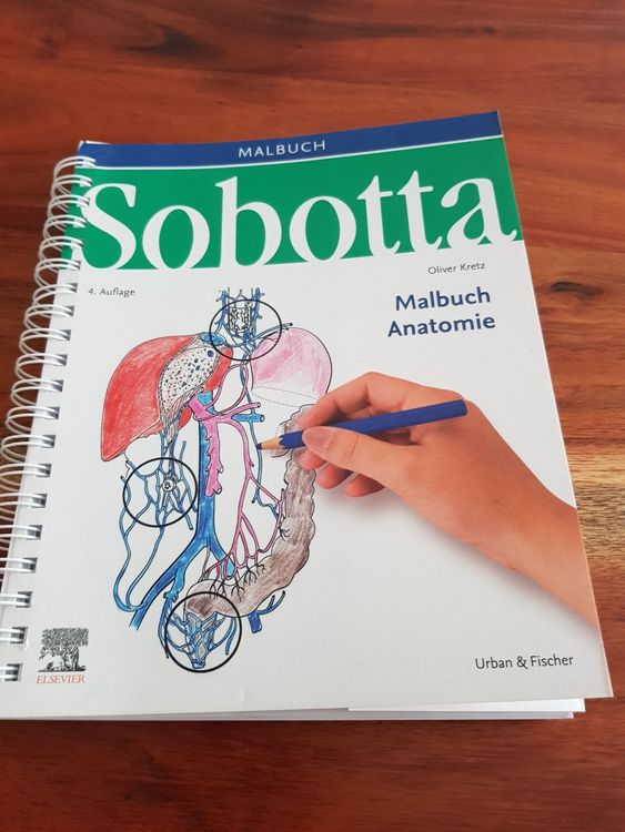Sobotta Malbuch Der Anatomie