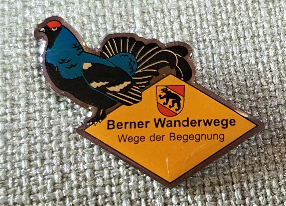 J620 - Pin Berner Wanderwege - Begegnung (Gebraucht) in Reinach BL für ...