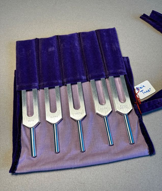 BioSonics Stimmgabeln Brain Tuner 5er-Set (Gebraucht) in Forch für CHF ...