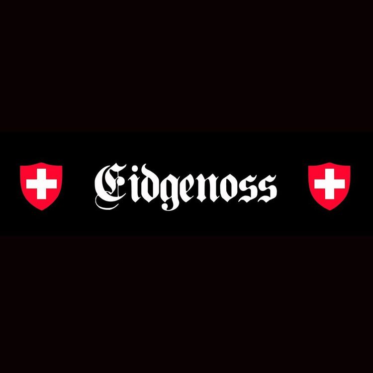 Aufkleber "EIDGENOSS" weiss - ca. 9x60 cm Frontscheibe (Neu (gemäss ...