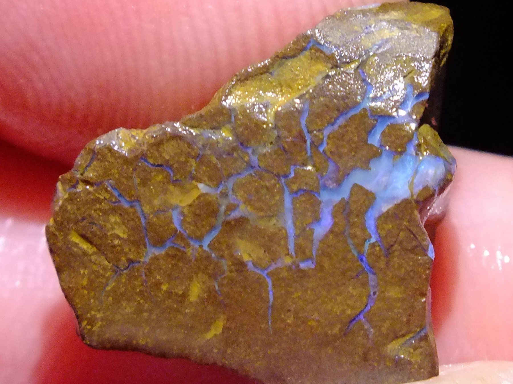 BOULDER ROH OPAL 90 karat Lot TOP QUALITAT Voll Feuer (Neu und ...