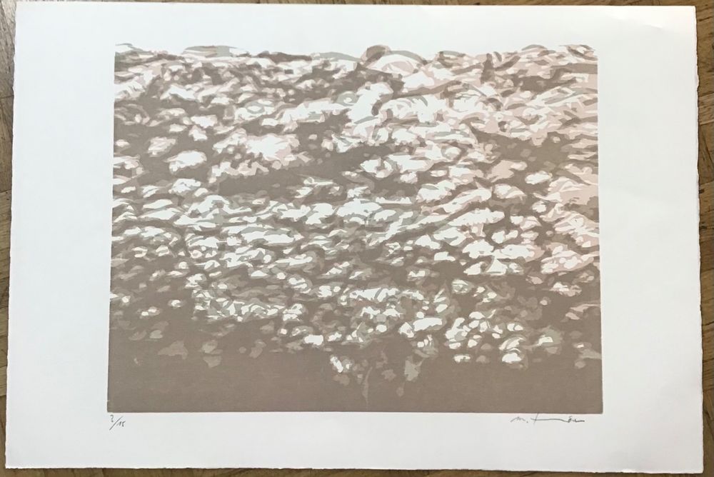 Martin THÖNEN (1934) Holzschnitt Handsigniert (Gebraucht) in Root für CHF 25 – mit Lieferung auf ...