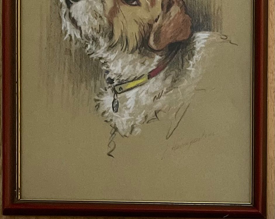 Elisabeth Heimgartner (xx) Mischtechnik von einem Hund | Kaufen auf Ricardo