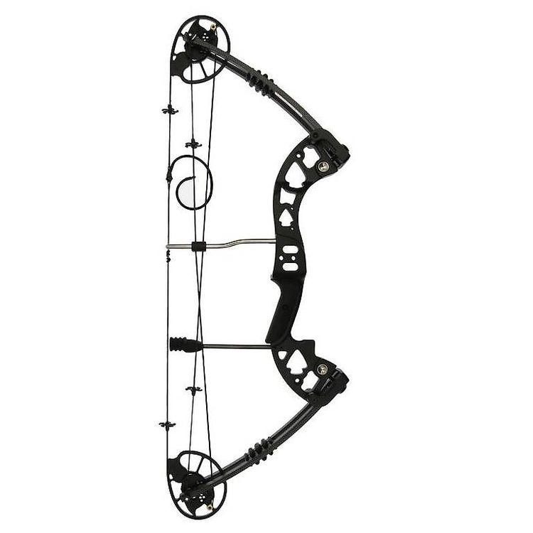 DRAKE Draco - 30-70 lbs - Compoundbogen Ink. 5 Carbonpfeile (Gebraucht ...
