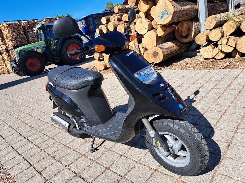 Piaggio Typhoon X 50 F mit wenig Aufwand MFK bereit (Gebraucht) in ...