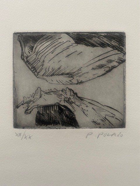 POLA PAOLO - handsigniert (Gebraucht) in Bern für CHF 10 – mit Lieferung auf Ricardo kaufen