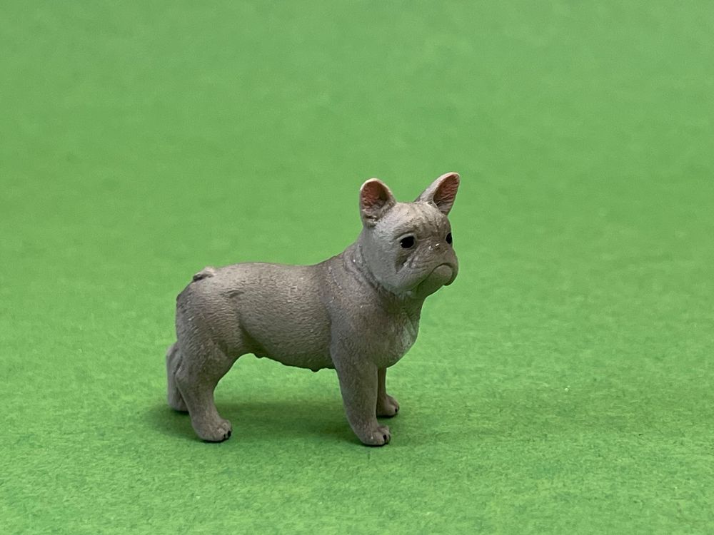 Schleich 13877-1 Französische Bulldogge Sonderedition Hund (Neu (gemäss ...
