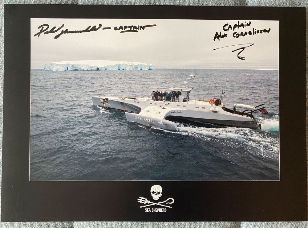 Poster von Sea Shepherd | Kaufen auf Ricardo