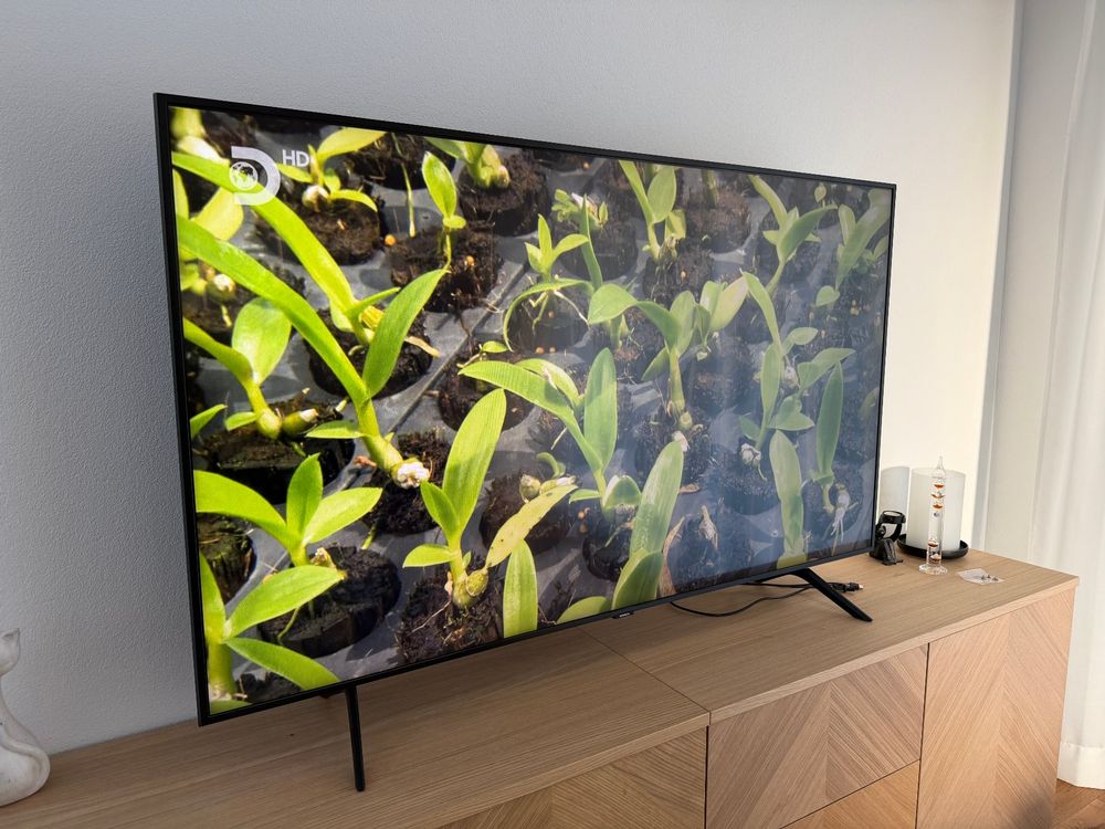 Samsung 65" QLED 4K Q60 (2019) QE65Q60RAT (Gebraucht) in Wald ZH für ...