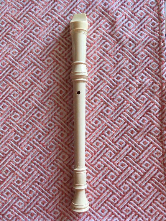 Flûte à Bec AULOS vintage beige (Gebraucht) in Genève für CHF 20 – mit ...