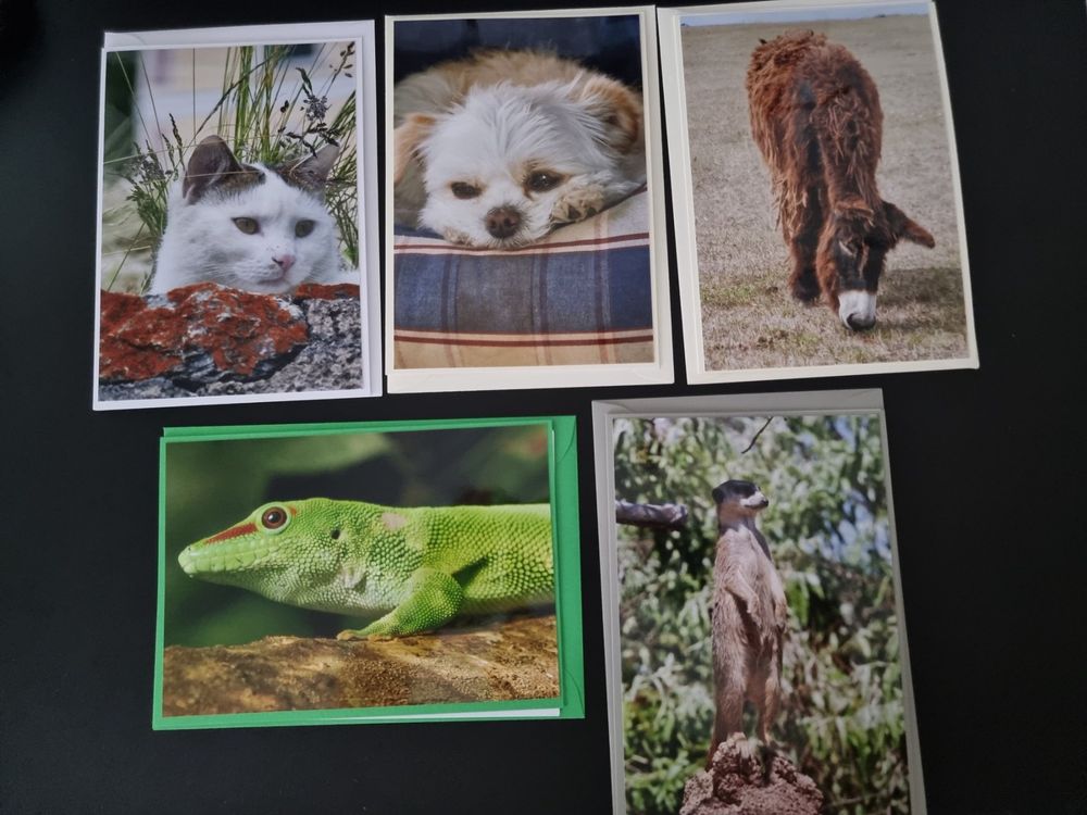 5 Karten / Motiv: Tiere (handgemacht) (Neu (gemäss Beschreibung)) in Zumikon für CHF 5 – mit ...