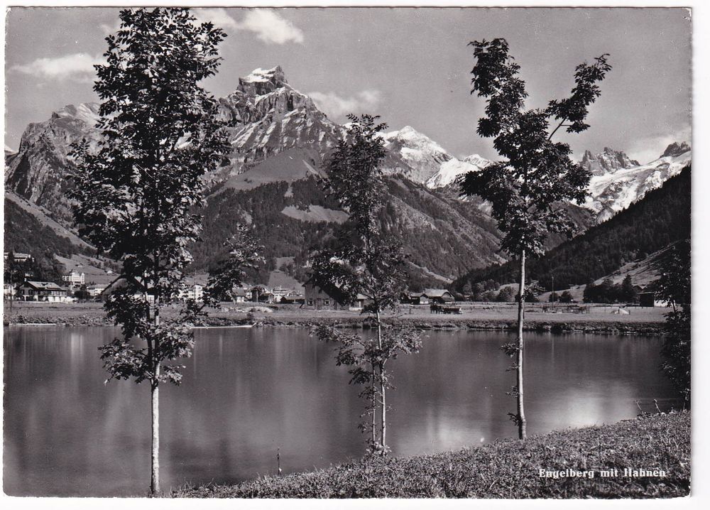 Engelberg Hahnen (Gebraucht) in Cormoret für CHF 1 – mit Lieferung auf ...