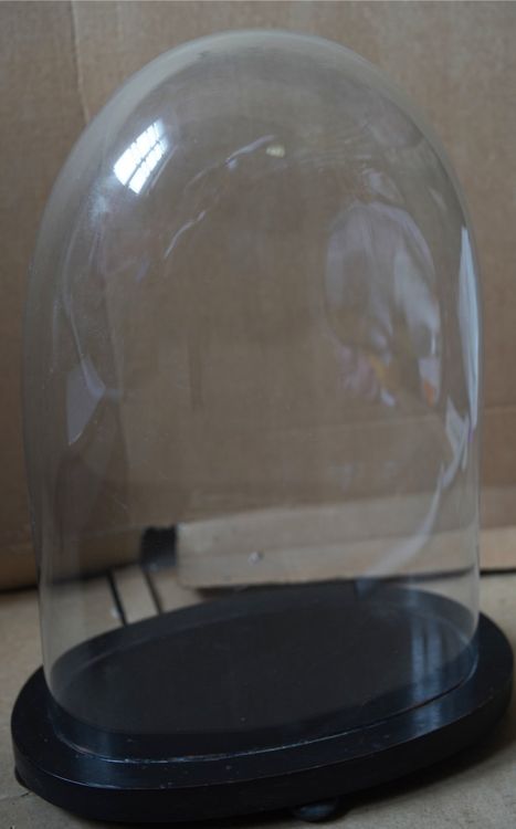 Glassturz, Glasdom, Glasglocke - gross für eine Uhr z.B. (Gebraucht) in ...