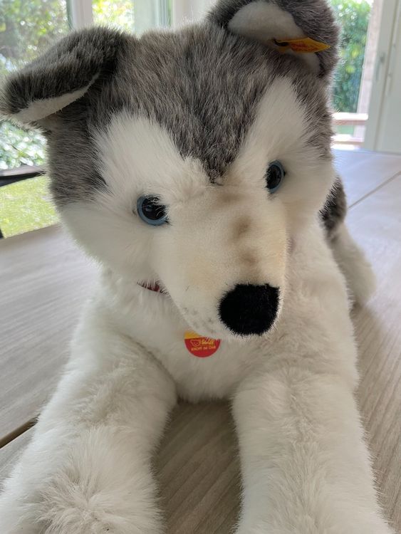 Steiff Hund Husky Plüschtier Stofftier Gross | Kaufen auf Ricardo