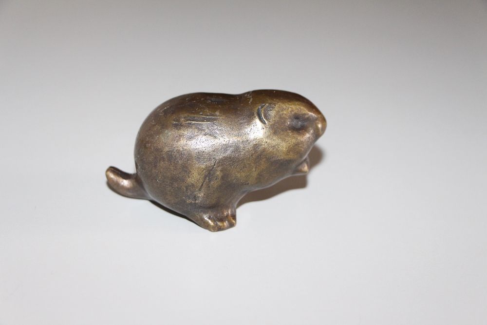 Turgi Bronze BAG, Sumpfbiber | Kaufen auf Ricardo