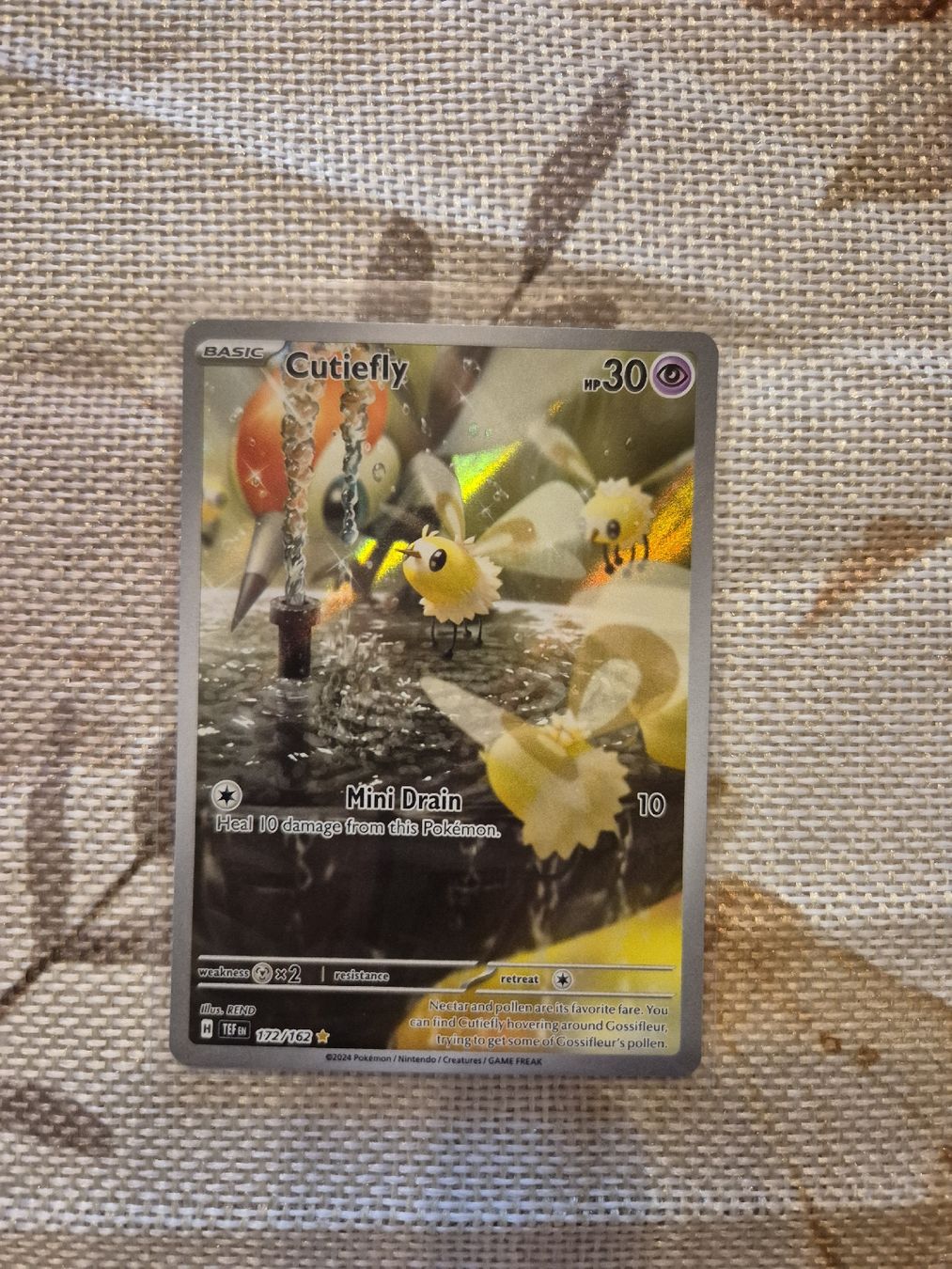 Cutiefly Pokemon Full Art TEF 172/162 EN (Neu (gemäss Beschreibung)) in ...