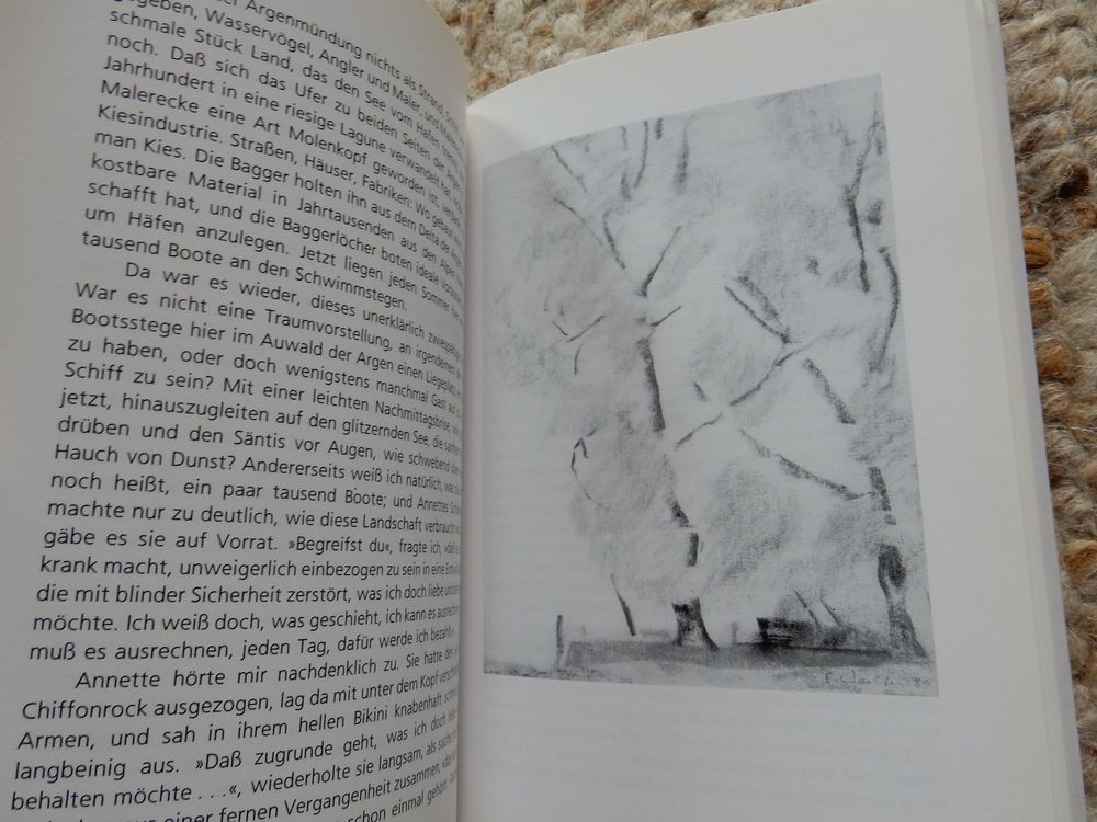 Seeliebe - Roman von Erika Dillmann, Stadler Verlag Schiff (Gebraucht ...