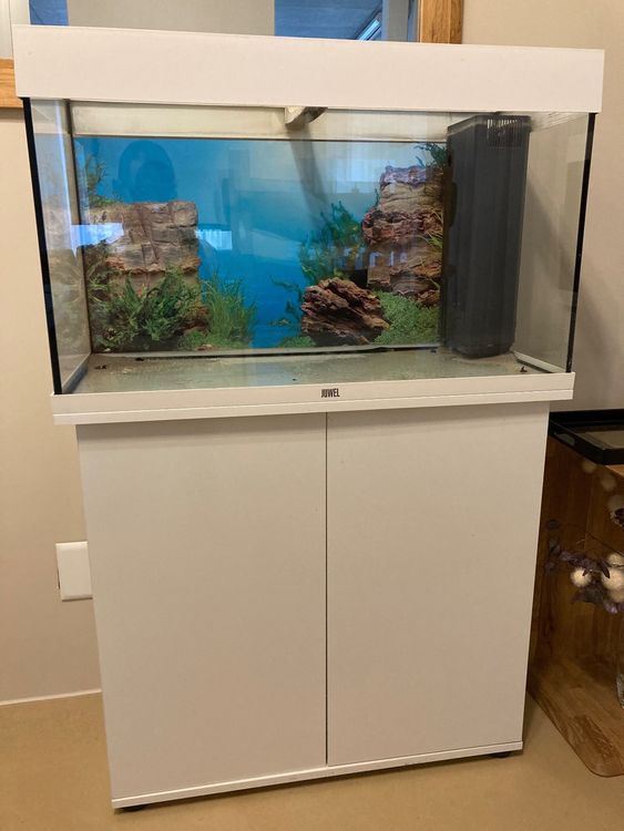 Juwel Rio 125 mit Fluval Plant Spectum LED (Gebraucht) in Sirnach für ...